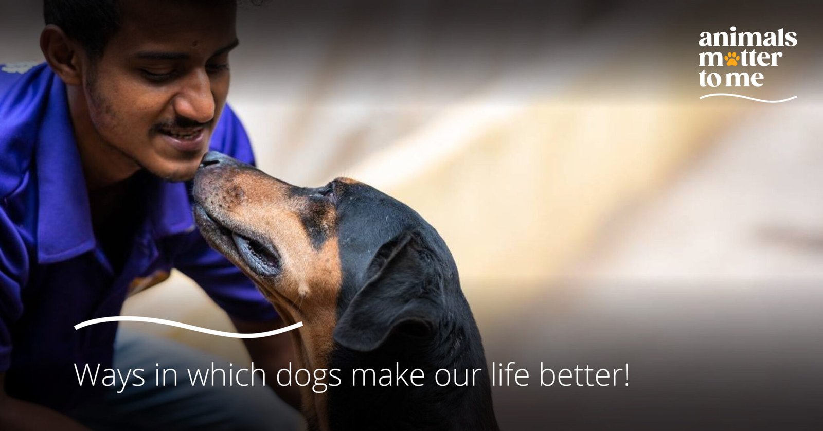 How dogs make our lives better - Animal Matter To Me