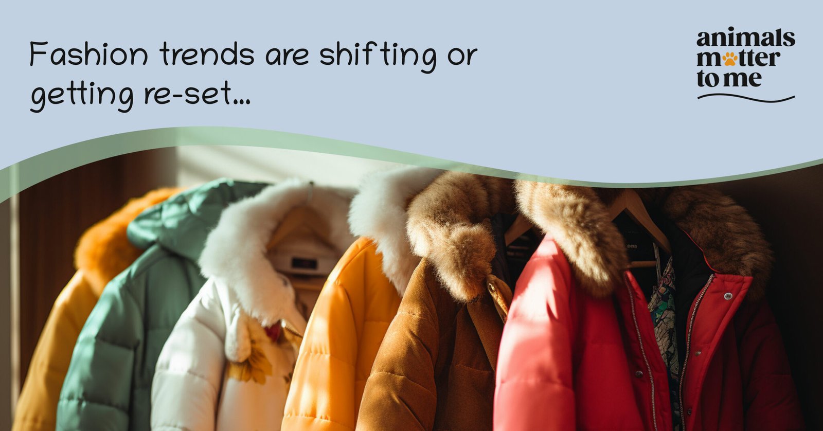 AMTM is an Animal Welfare NGO - Animals Matter To Me