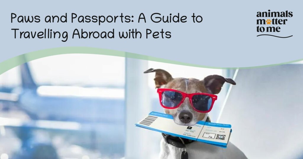 Paws and Passports: A Guide to Travelling Abroad with Pets - Animal ...