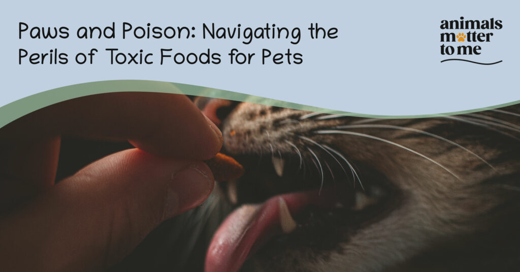 Paws and Poison: Navigating the Perils of Toxic Foods for Pets - Animal ...